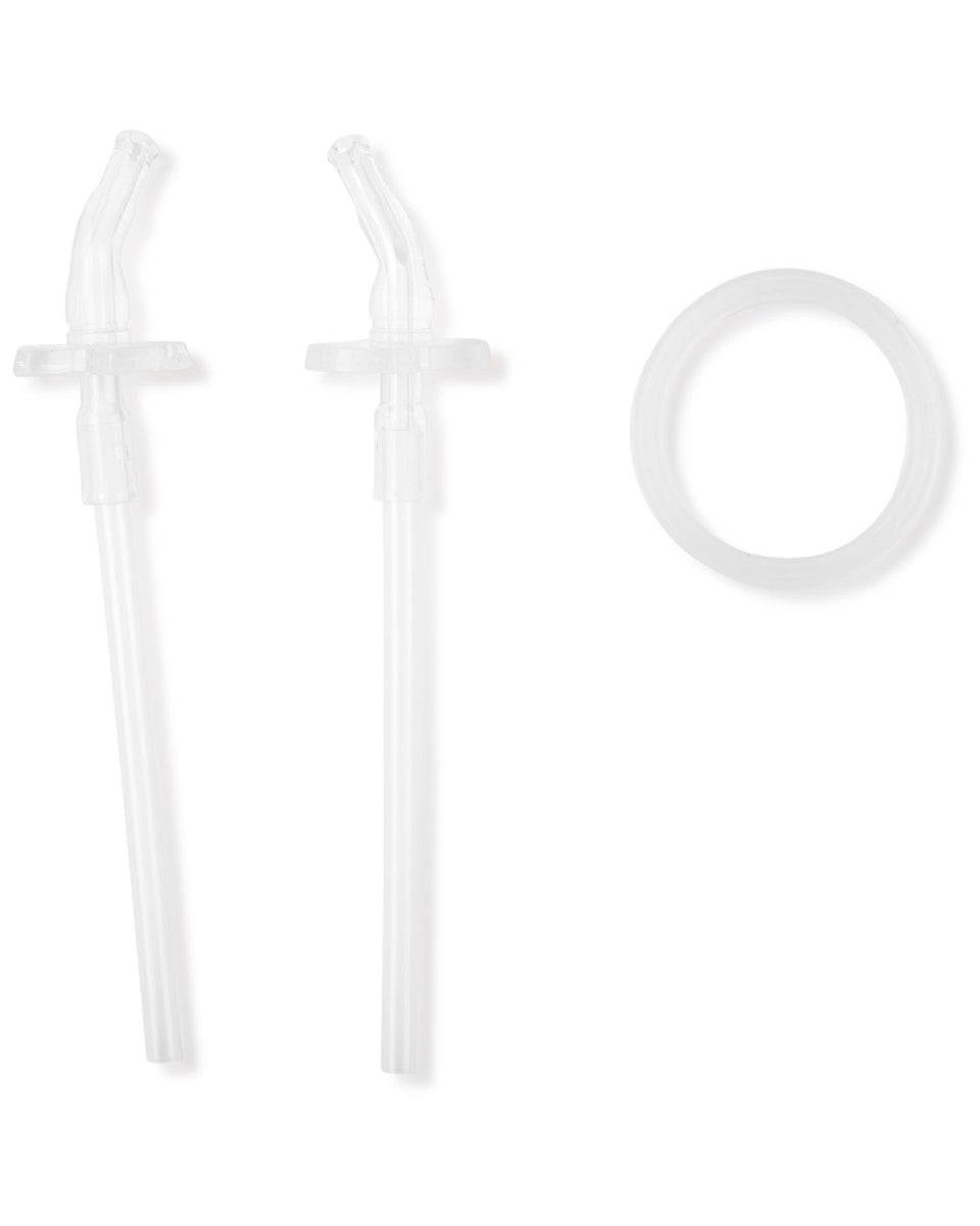 Skip Hop ZOO Stainless Steel Straw Bottle Extra Straws - 2-Pack – Bloom ...